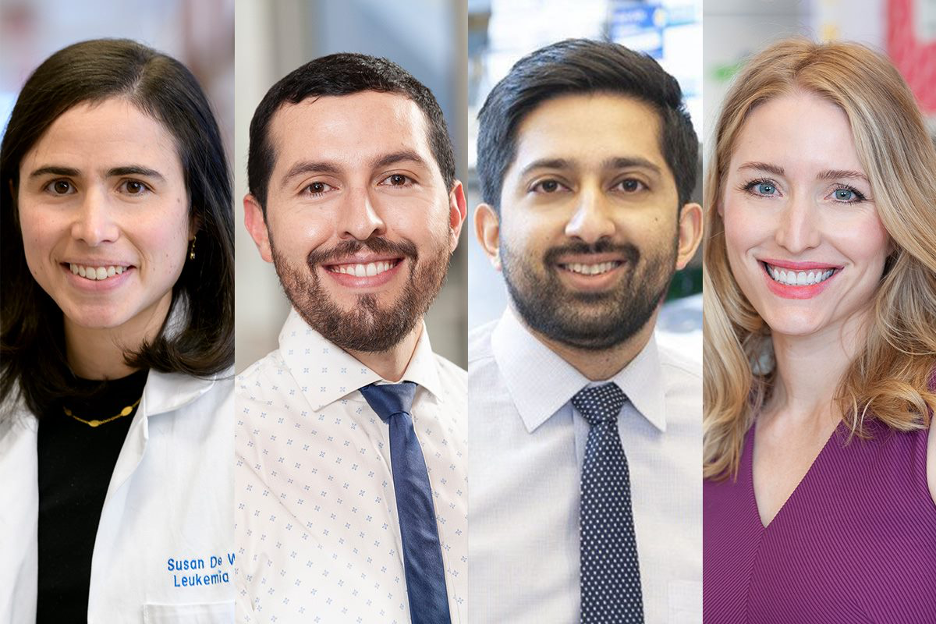 Louis V. Gerstner, Jr. Physician Scholars | MSK Giving
